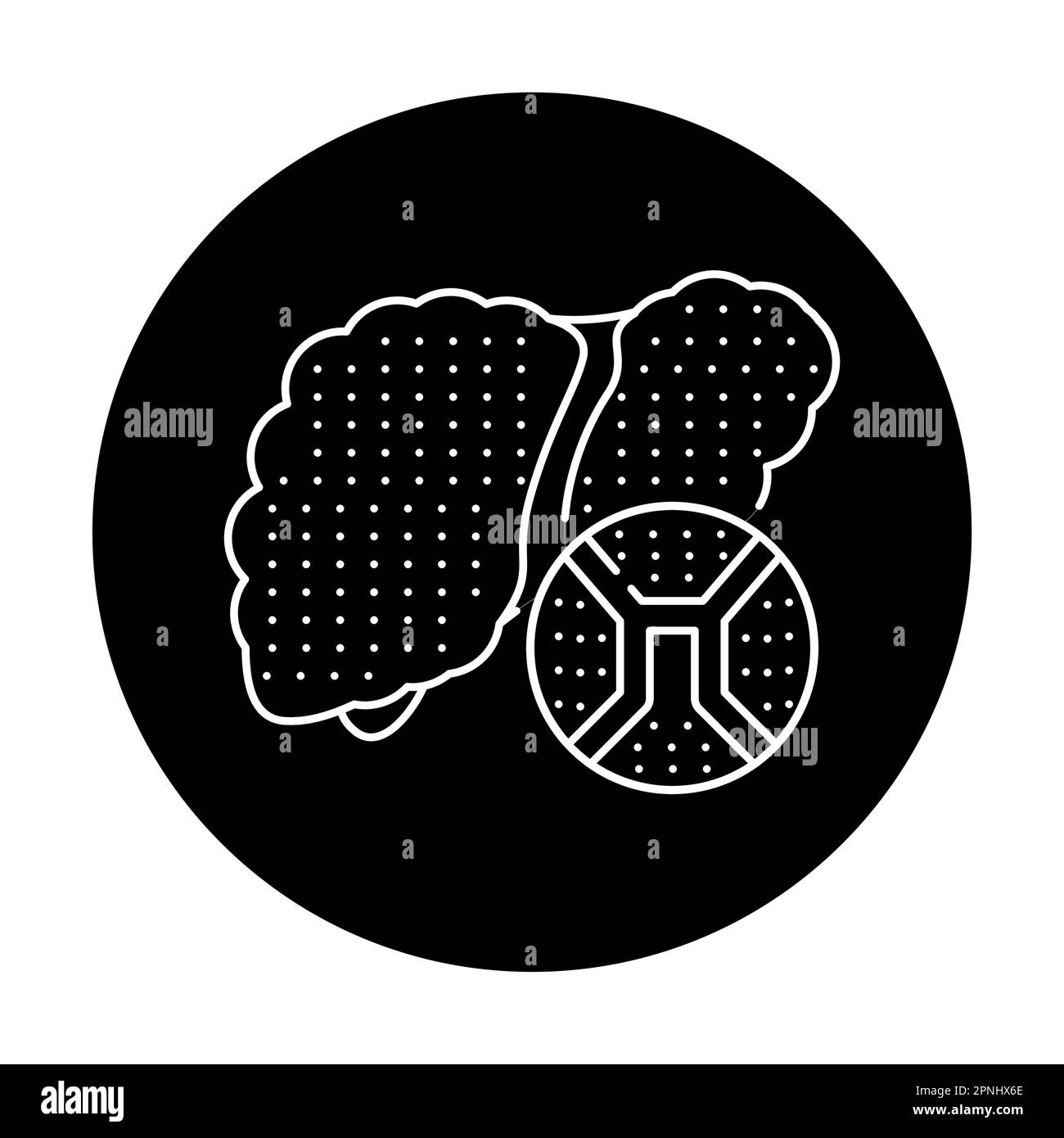 Liver cirrhosis drawing Black and White Stock Photos & Images - Alamy