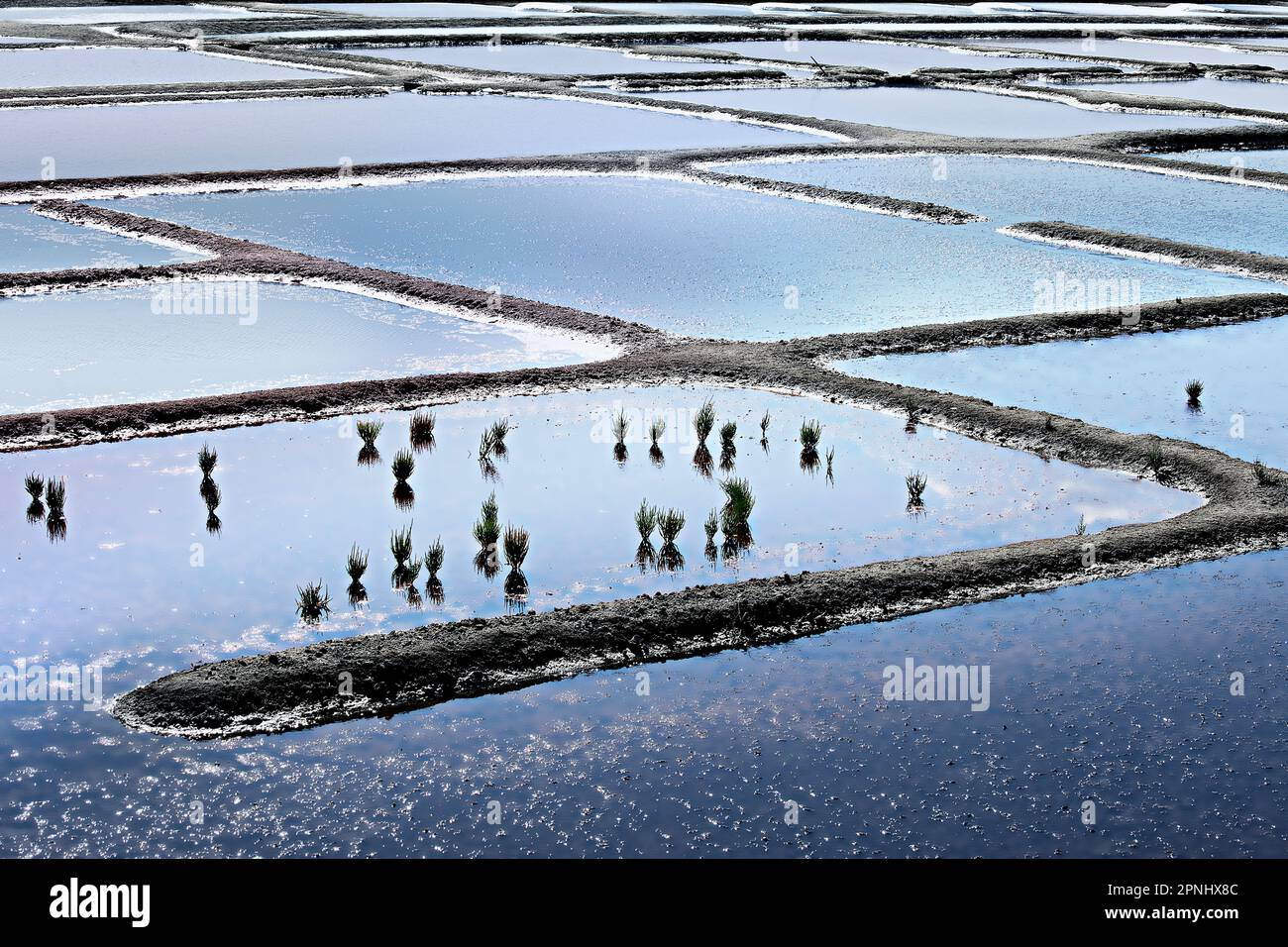 Salt pans in the Guérande Salt Gardens, Brittany, France Stock Photo ...