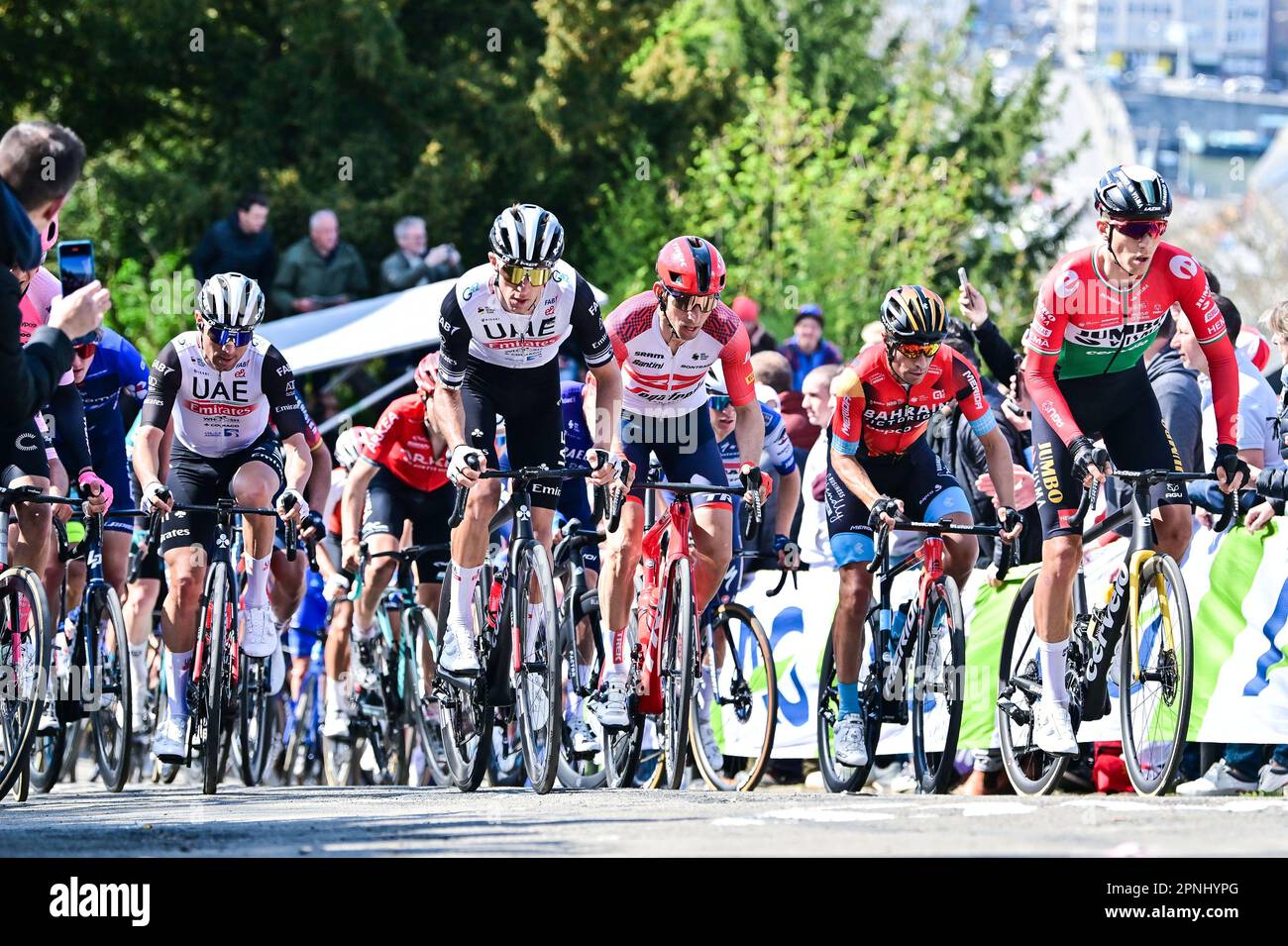 Van vink hi-res stock photography and images - Alamy