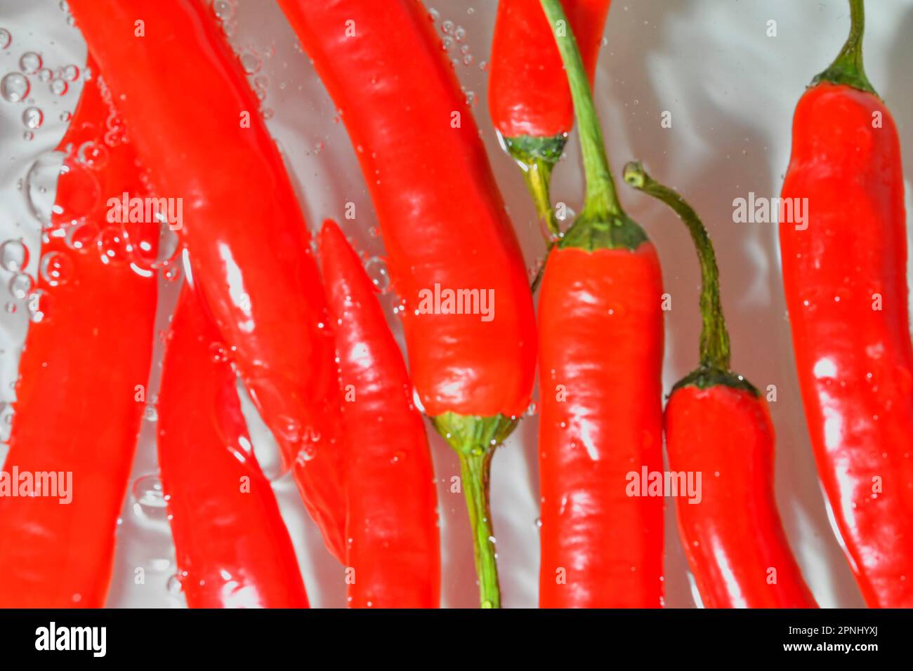 Red chilli peppers on white background. Hot chilli peppers close-up in ...