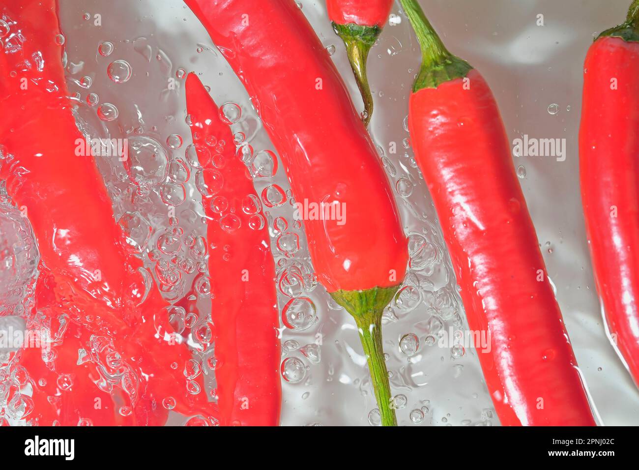 Close-up of hot red chilli peppers on white background. Hot red chilli ...