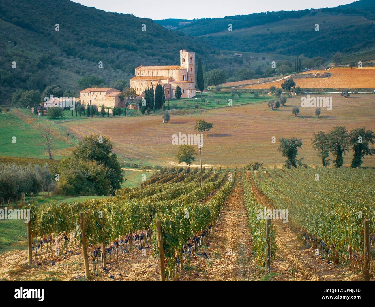 The Tuscan Landscape in Italy is known for its Idyllic Landscape Stock ...