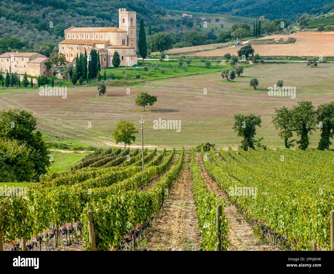 The Tuscan Landscape in Italy is known for its Idyllic Landscape Stock ...