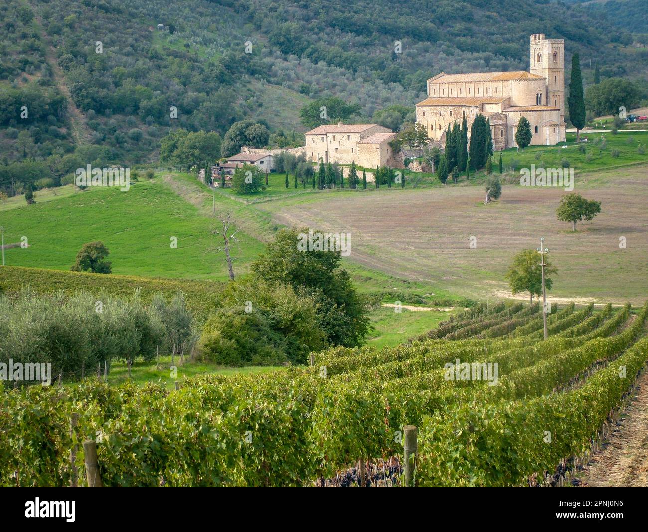 The Tuscan Landscape in Italy is known for its Idyllic Landscape Stock ...