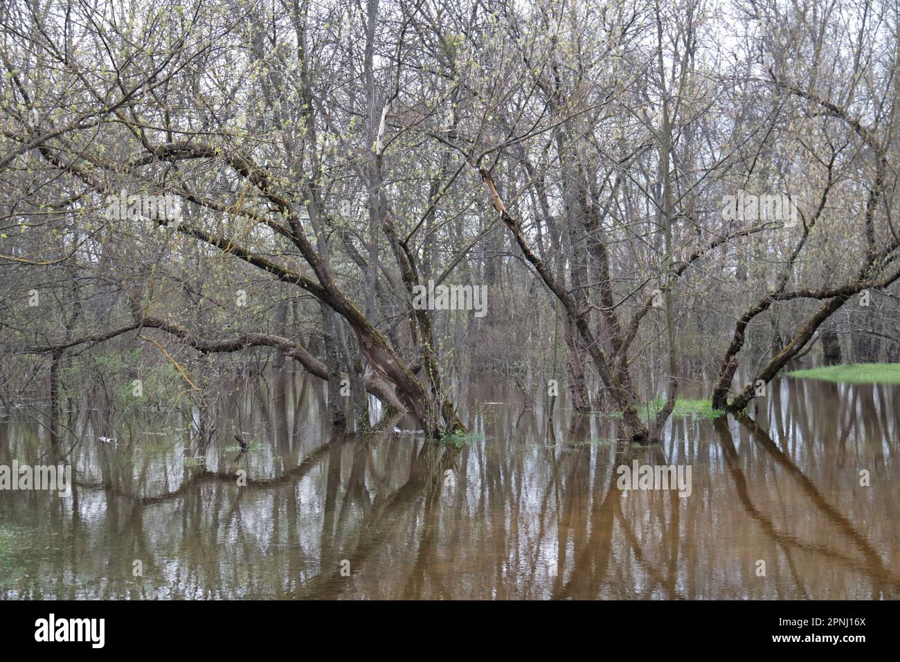 Rusanivka canal hi-res stock photography and images - Alamy