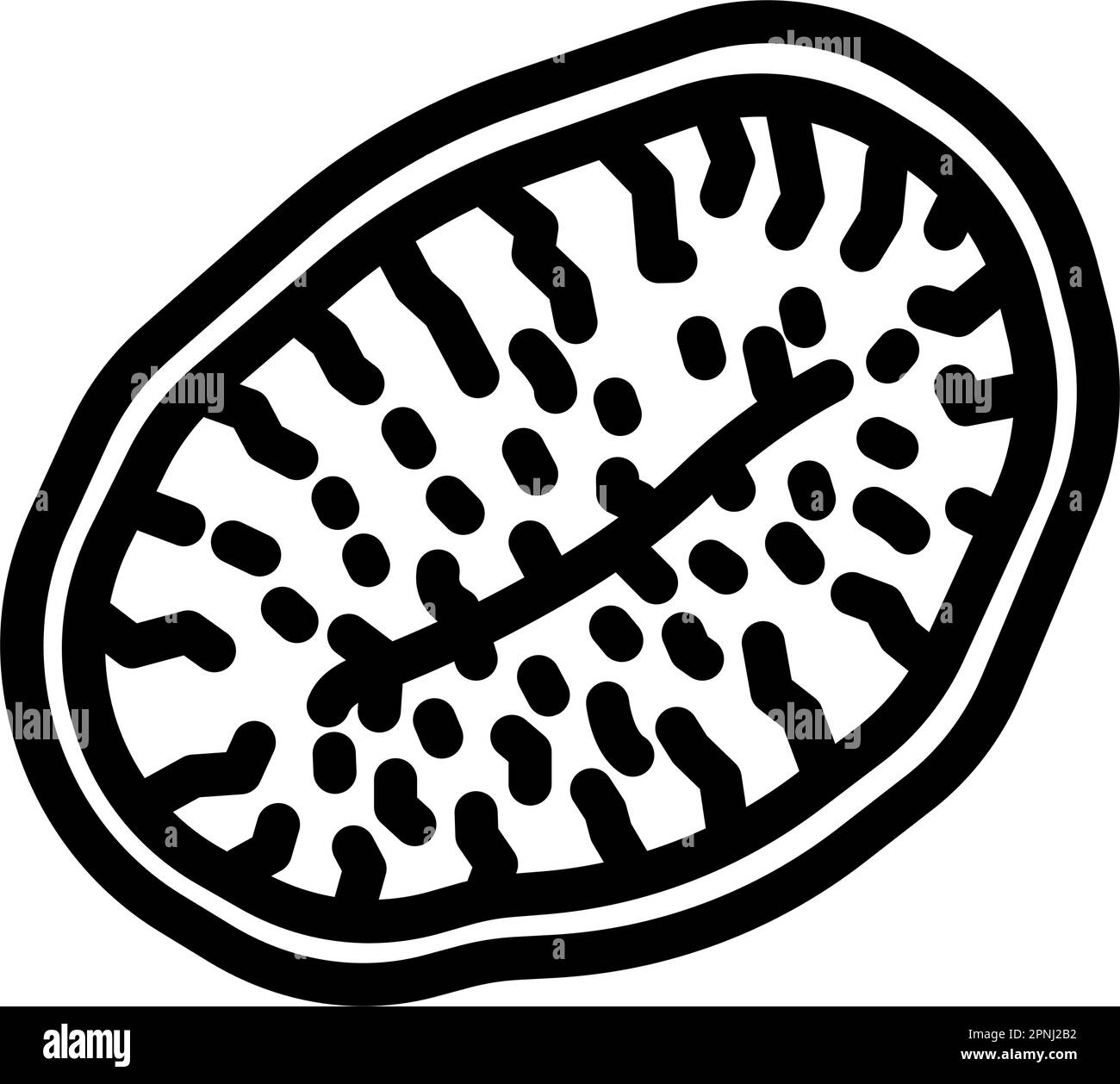 Nuts dried fruit mix Black and White Stock Photos & Images - Alamy