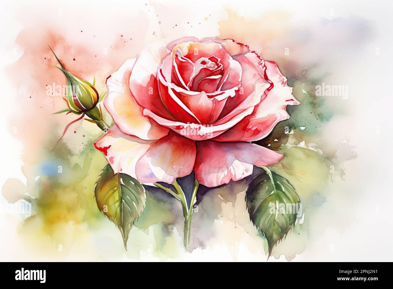 Simple Rose Watercolor Painting