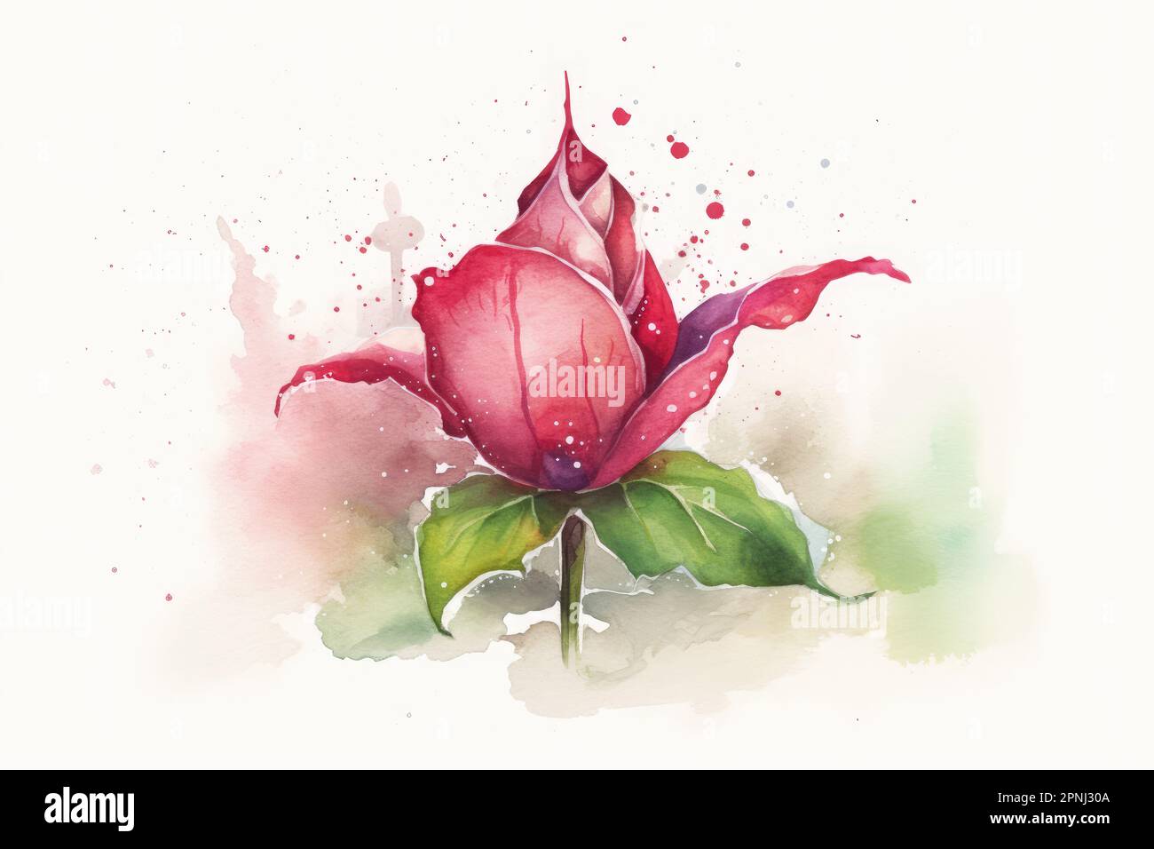 Whimsical Watercolor Plants