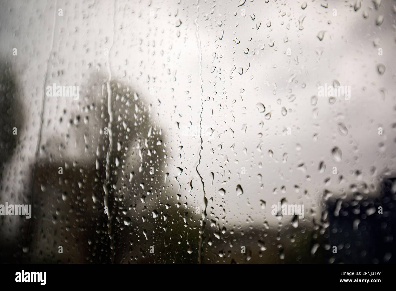 The glass of a window with natural raindrops (water drops Stock Photo ...