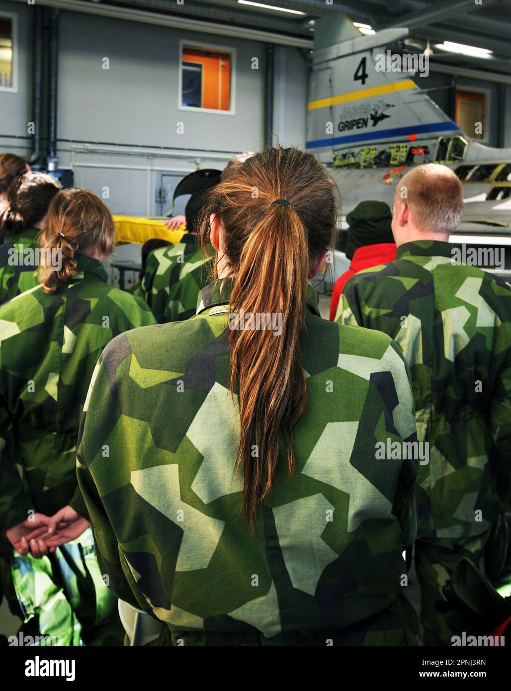 Young people who become aware of the Swedish Air Force Volunteers ...