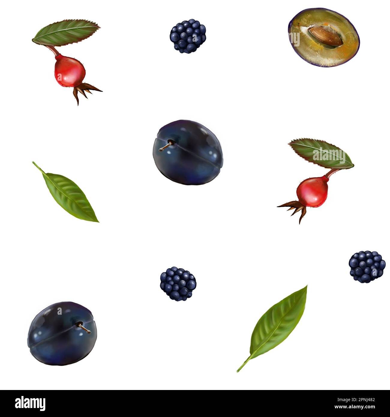 Fruits pattern. Illustrations are drawn on a white background.for the ...