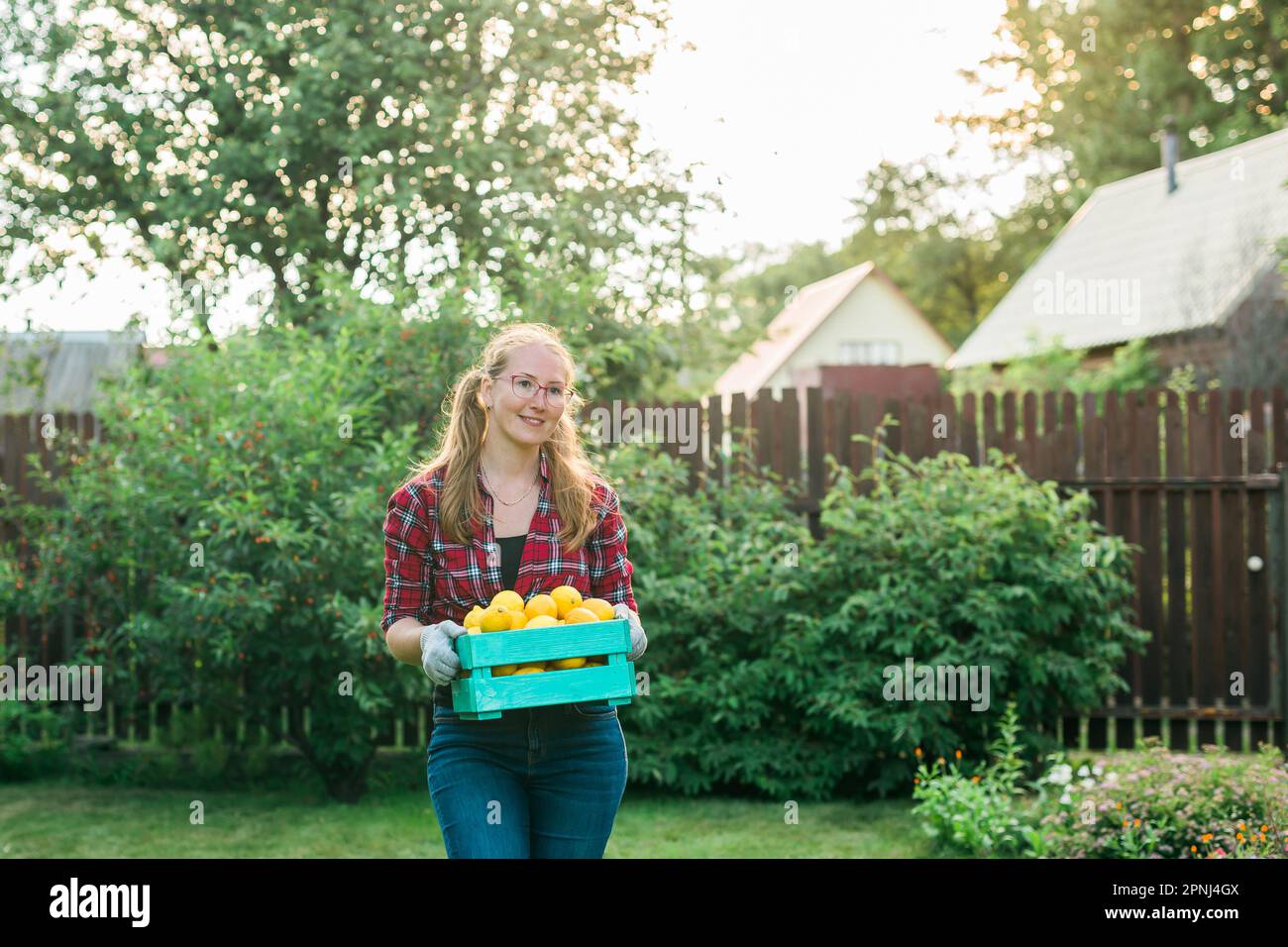 Organic female farmer holding box full of fresh produce on her farm ...