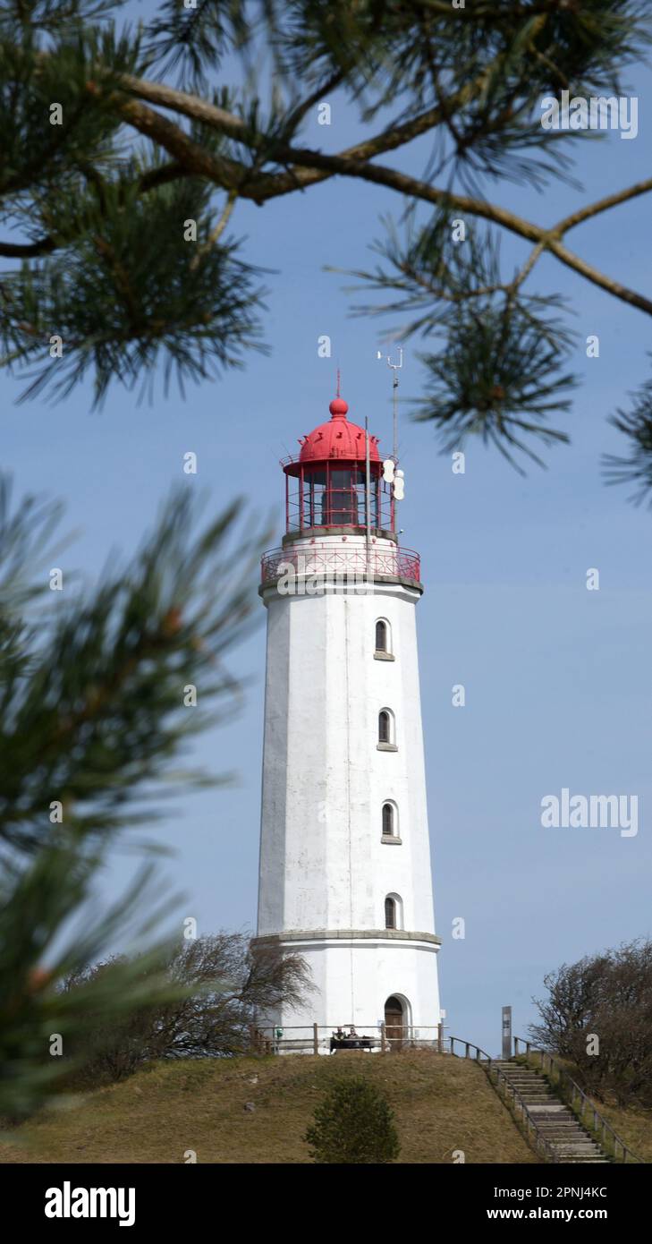 Kloster, Germany. 10th Apr, 2023. On the island of Hiddensee, the ...