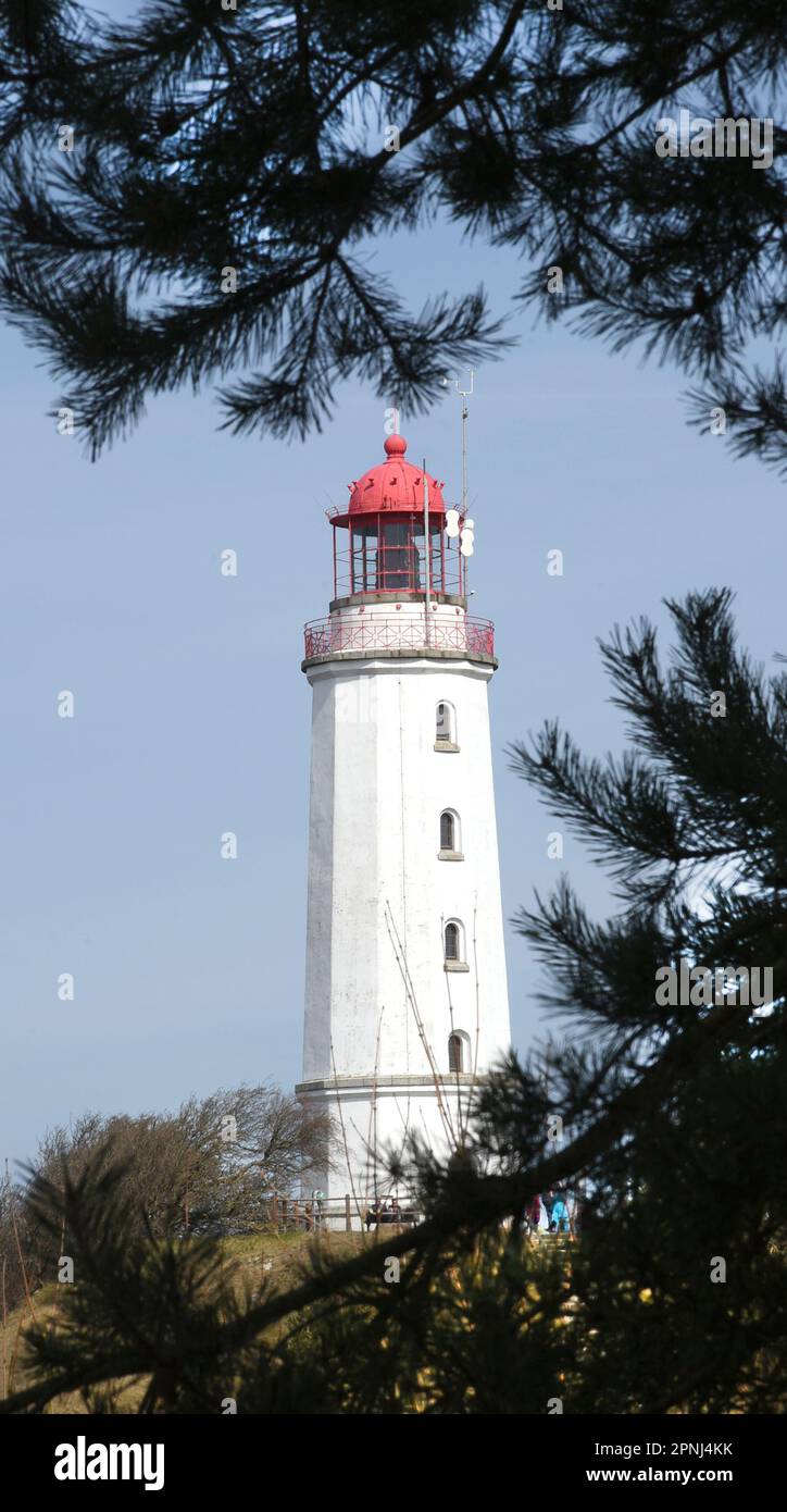 Kloster, Germany. 10th Apr, 2023. On the island of Hiddensee, the ...