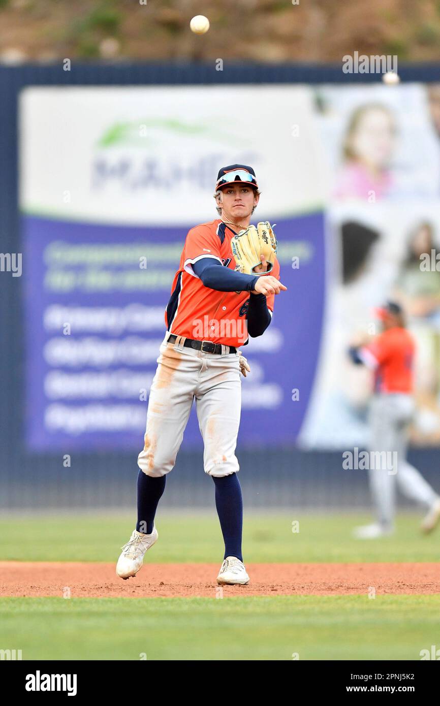 Bowling Green Hot Rods shortstop Carson Williams (8) during a game against the Asheville ...