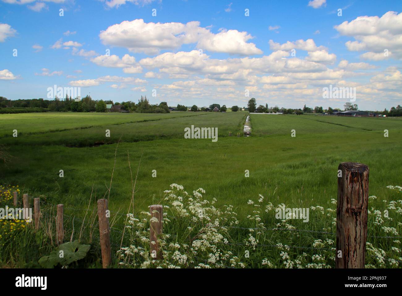 Zuidplaspolder hi-res stock photography and images - Alamy