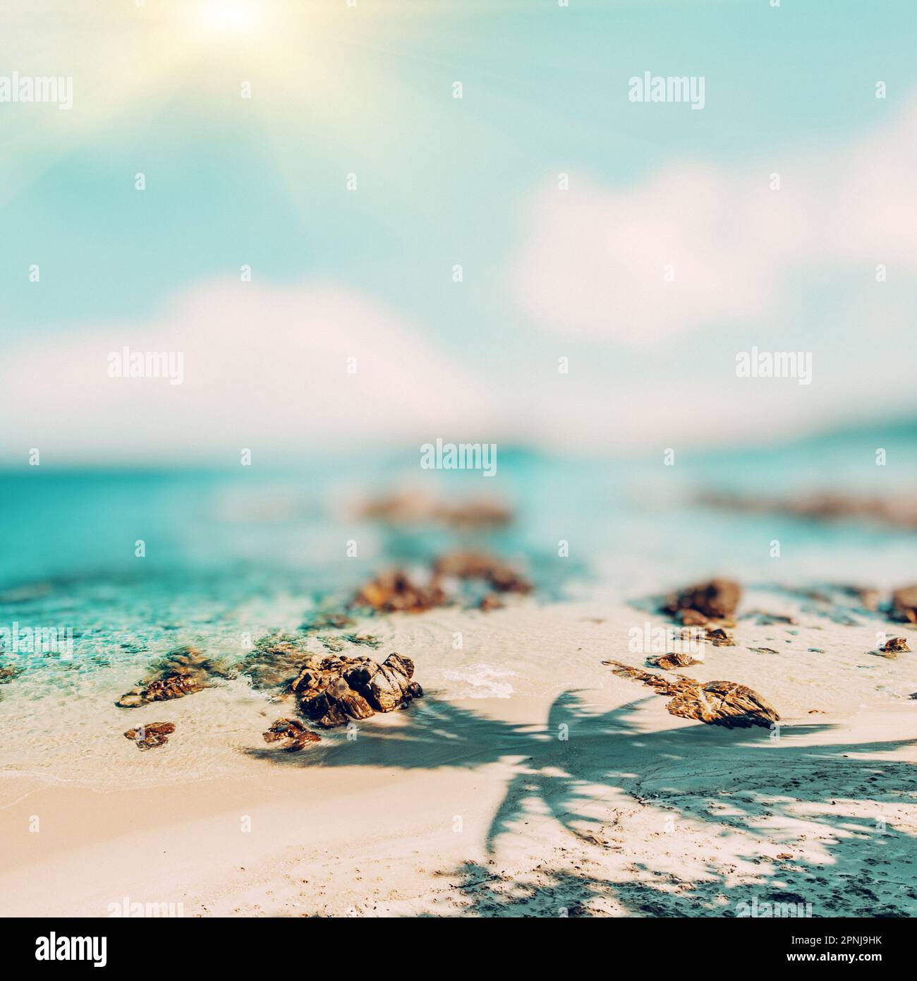 Tropical lost beach summer background Stock Photo - Alamy