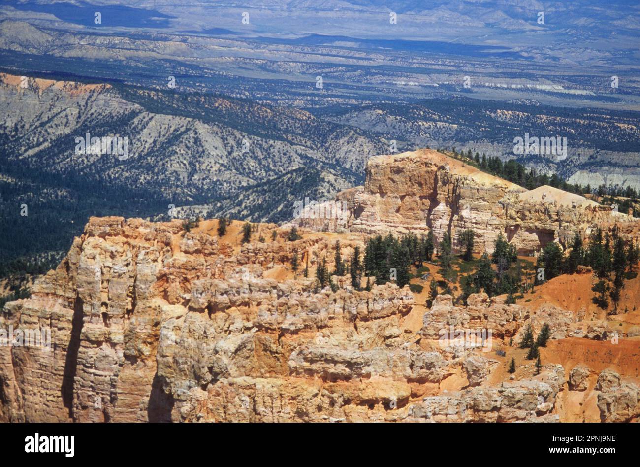 Colors and greenery of Zion National Park Stock Photo - Alamy