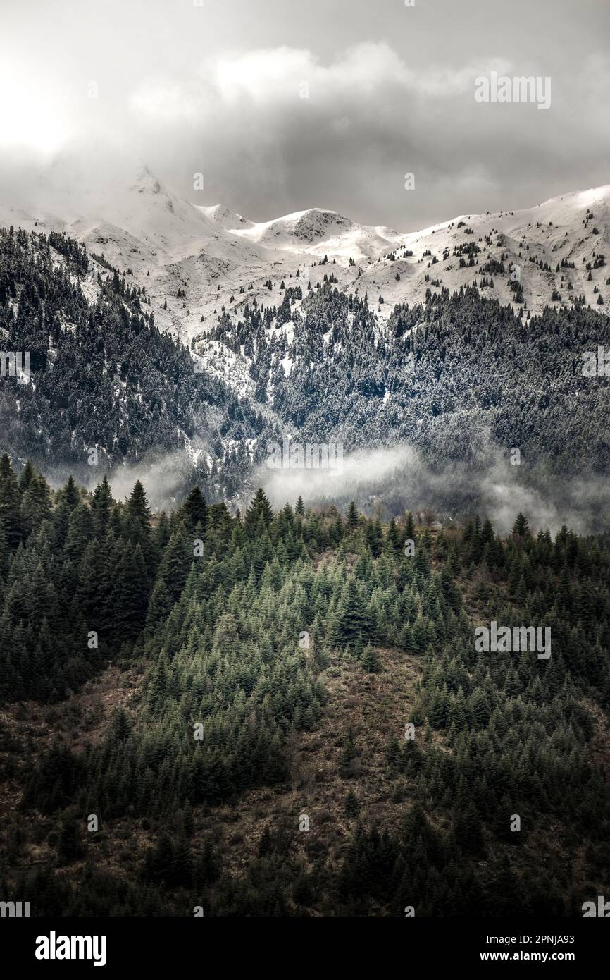Landscape of two seasons spring and winter in one and the top of Tsmi ...