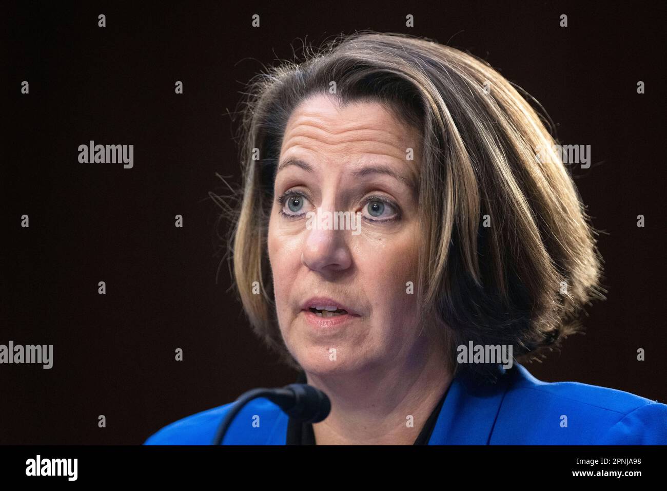Deputy Attorney General Lisa Monaco testifies during a Senate Judiciary ...