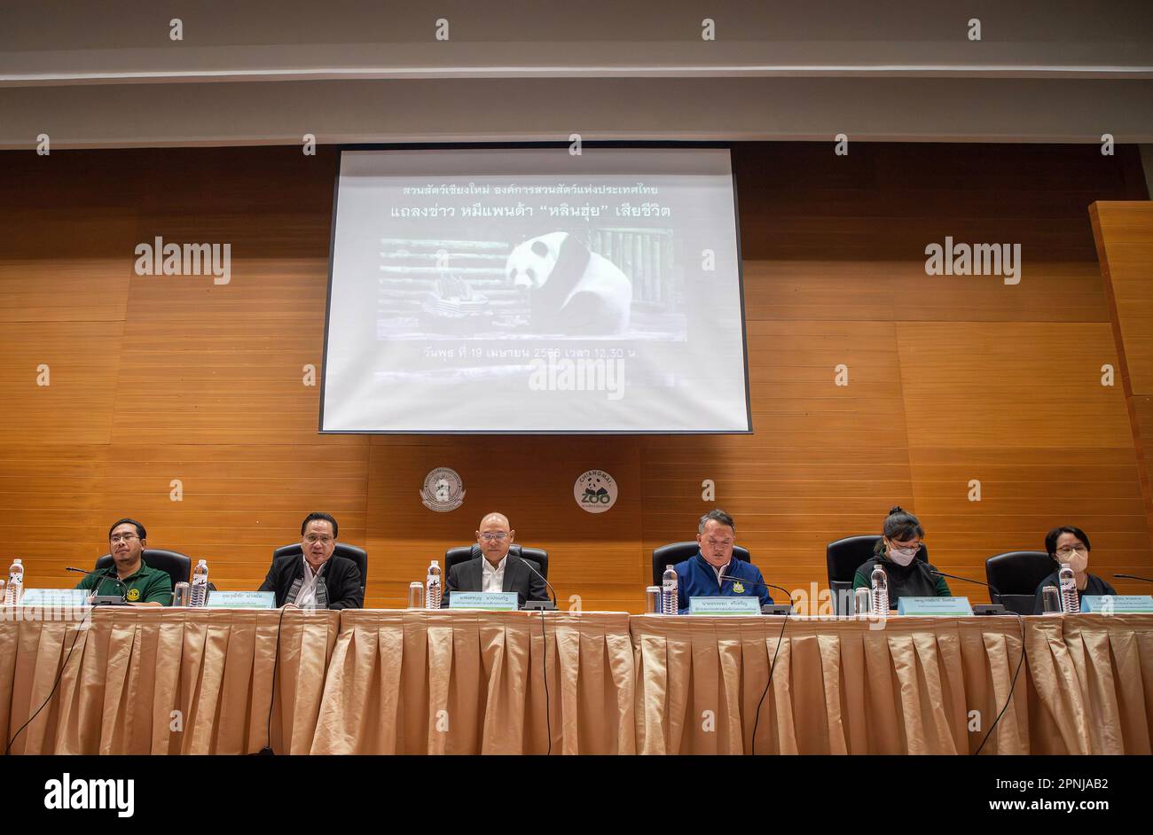 Chiang Mai, Thailand. 19th Apr, 2023. Wuthichai Muangman (2L) Chiang ...