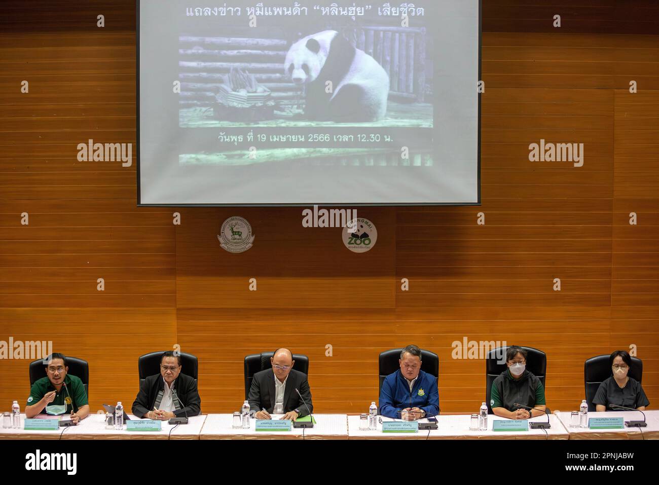 Chiang Mai, Thailand. 19th Apr, 2023. Thewarat Vejmanus (L) a ...