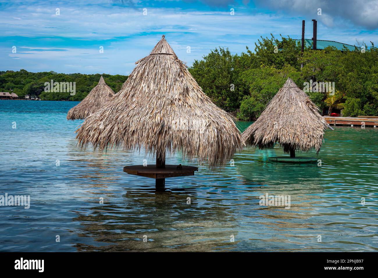 Idyllic transparent water beach in the caribbean sea in a sunny day ...