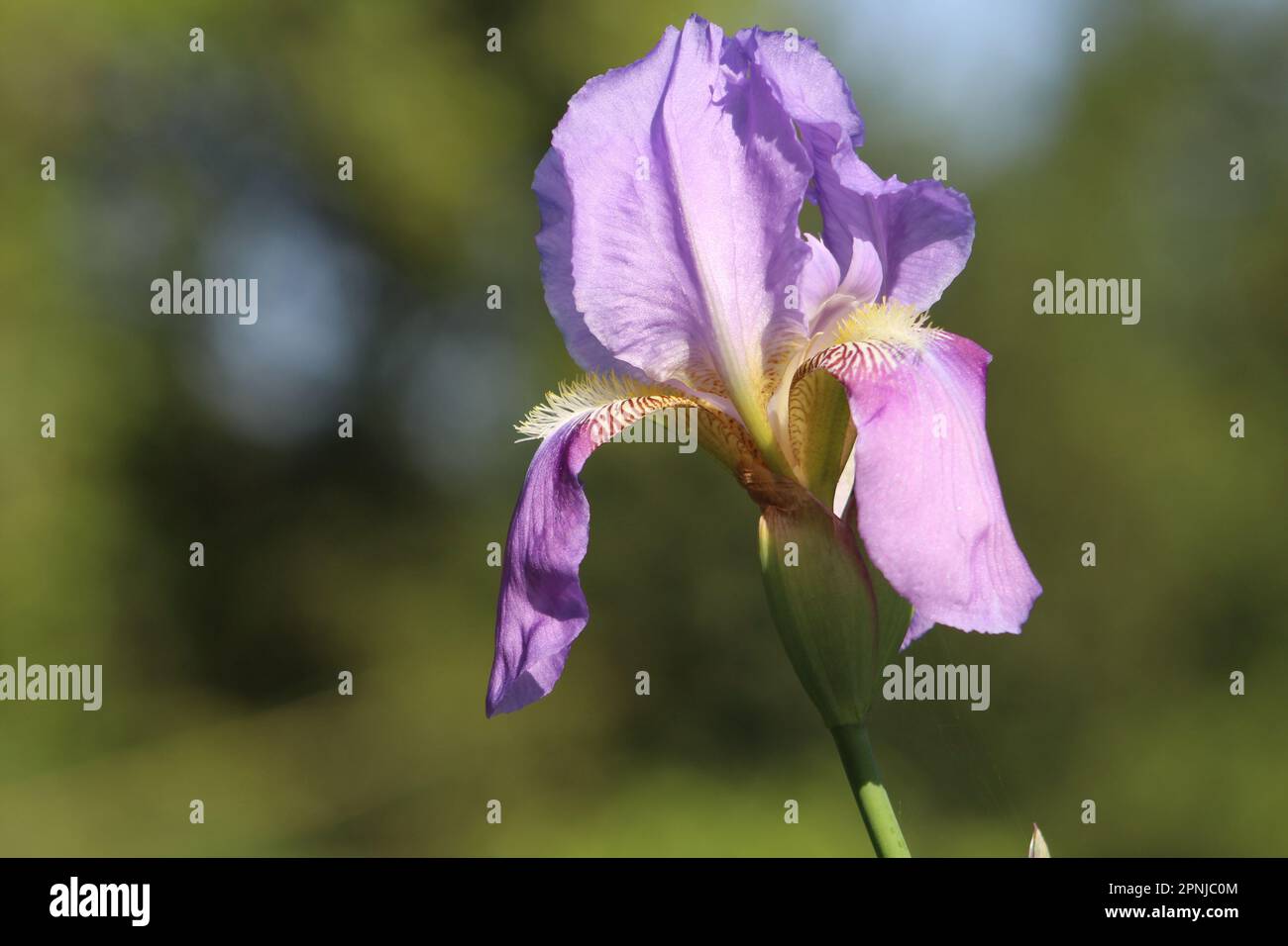 Blue space copy text on hi-res stock photography and images - Alamy