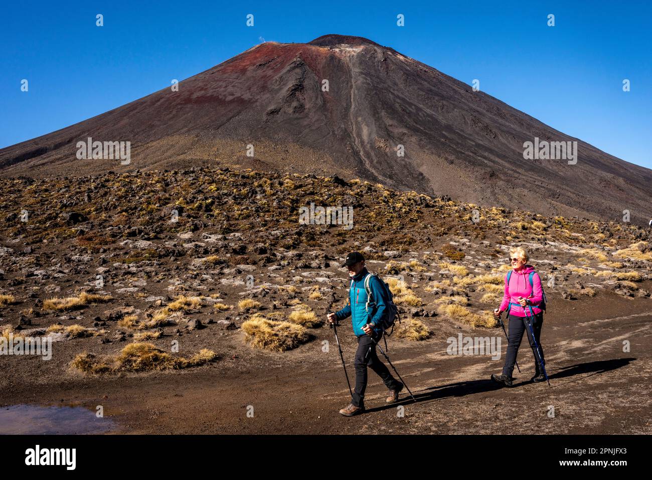 A View of Mt Ngauruhoe On The Tongariro Alpine Crossing Walk, Tongariro ...