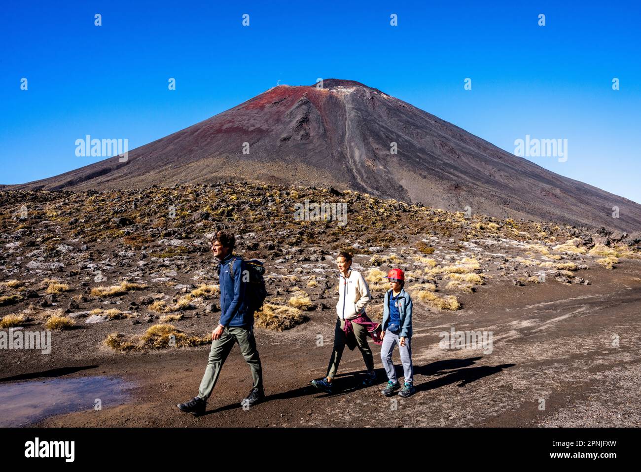 A View of Mt Ngauruhoe On The Tongariro Alpine Crossing Walk, Tongariro ...
