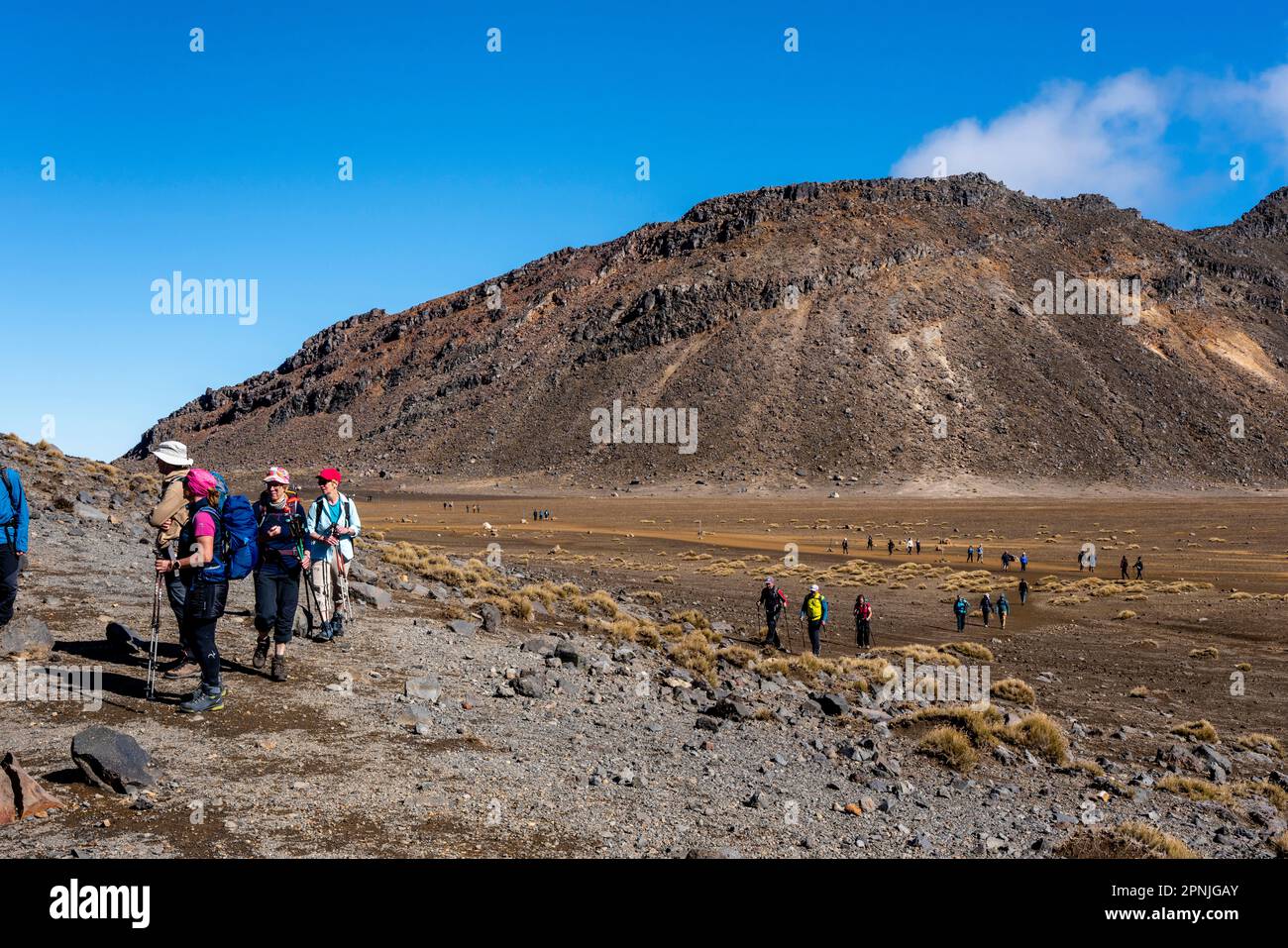 Walkers Crossing The South Crater During The Tongariro Alpine Crossing ...