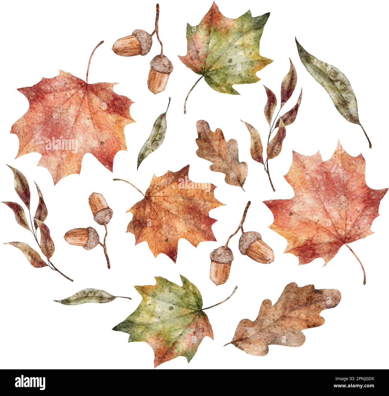 Watercolor Template design round label for fall season. Banner with ...