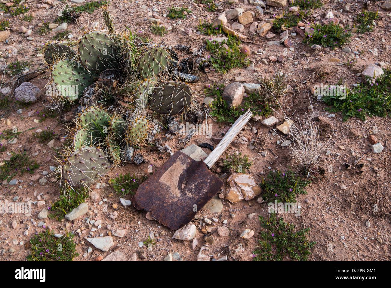Old rusted shovel in the desert of southern Utah, USA. History in the ...