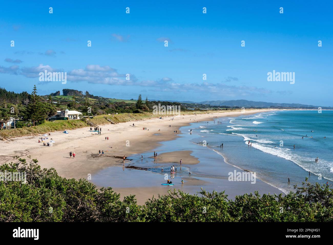 The Beach at Waipu Cove, Bream Bay, Northland, New Zealand Stock Photo ...