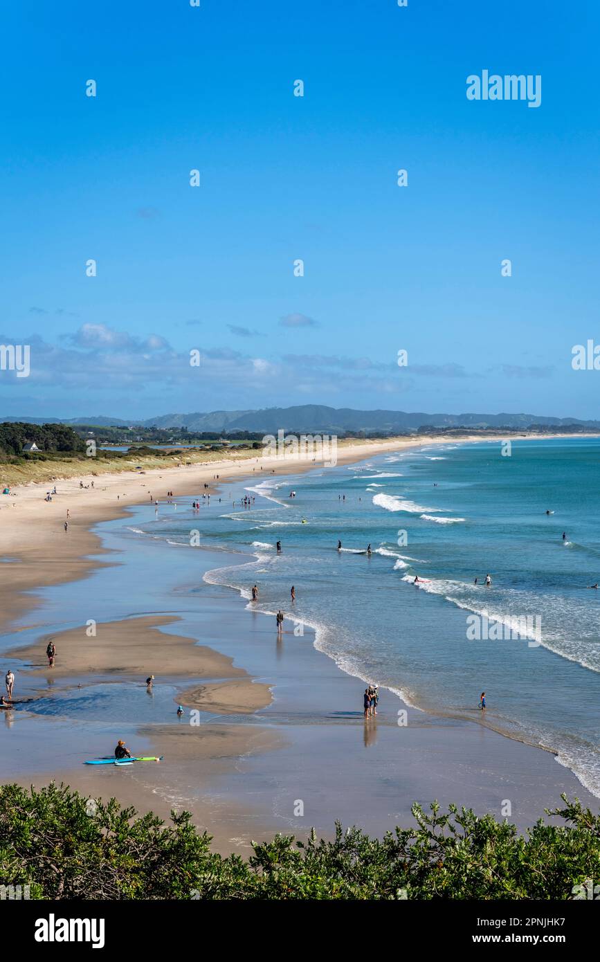 The Beach at Waipu Cove, Bream Bay, Northland, New Zealand Stock Photo ...