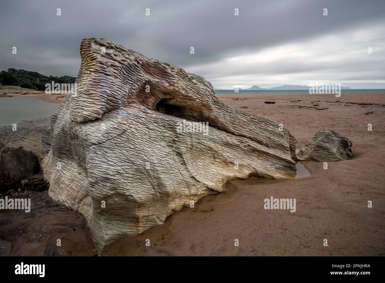 Langs Beach, Bream Bay, Northland, New Zealand Stock Photo - Alamy