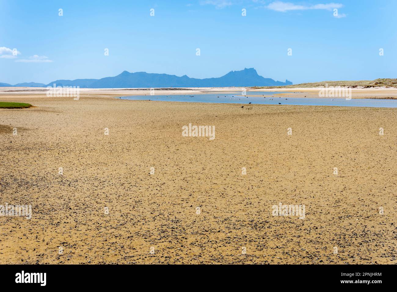 The Estuary At Bream Bay, Waipu, Northland, New Zealand Stock Photo - Alamy