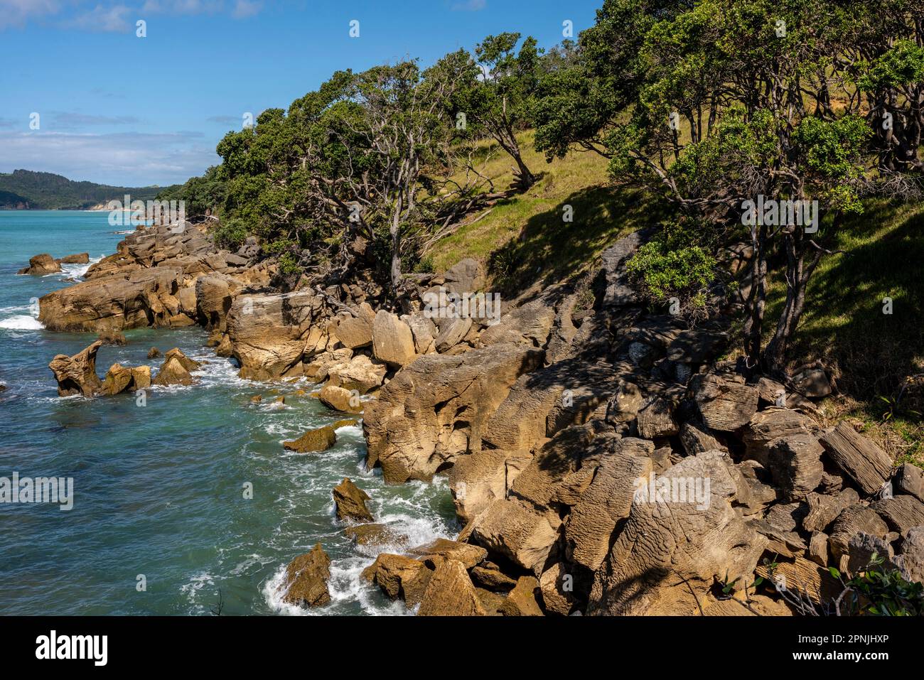 Waipu coastal trail hi-res stock photography and images - Alamy