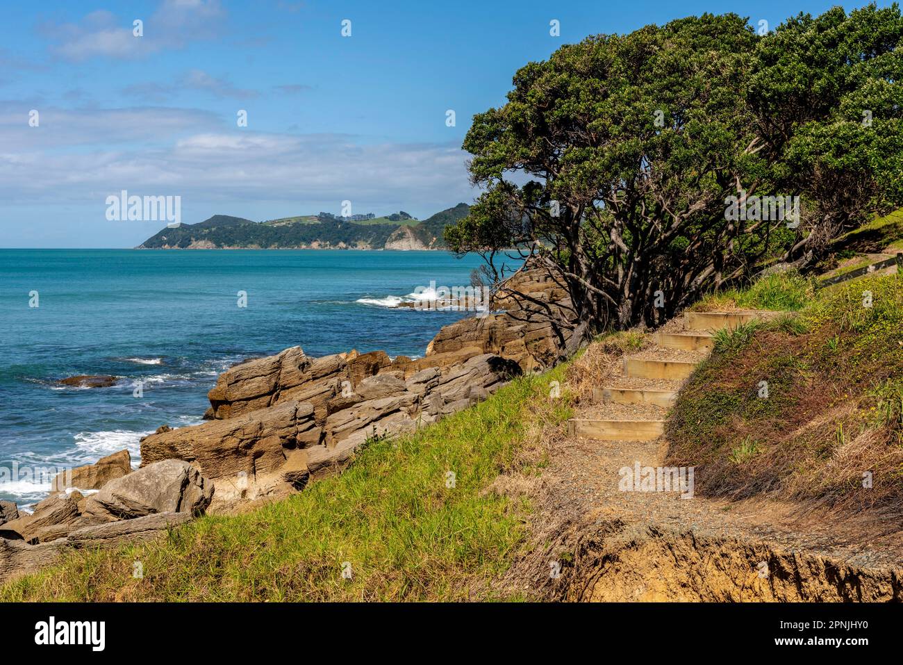 Waipu coastal trail hi-res stock photography and images - Alamy