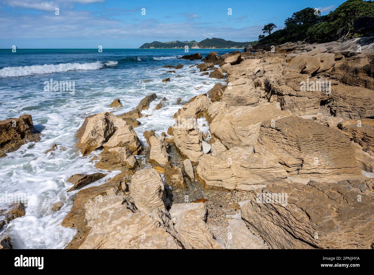 Waipu coastal trail hi-res stock photography and images - Alamy