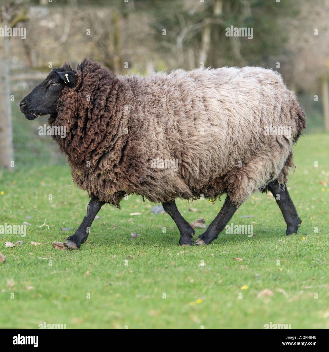Hebridean view hi-res stock photography and images - Alamy