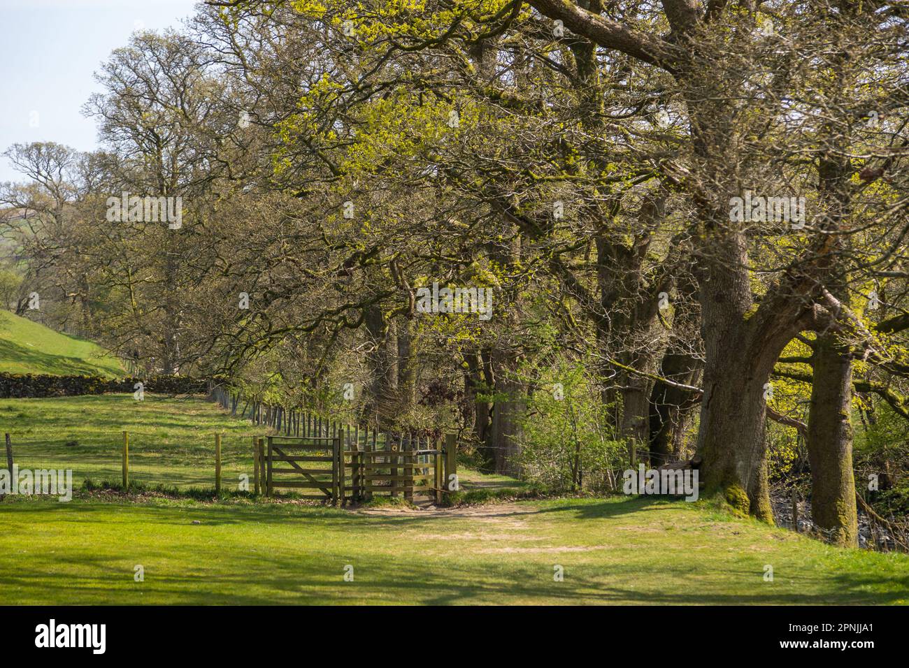 View of the gardens in the Sedbergh village. Sunny spring day. Sedbergh ...