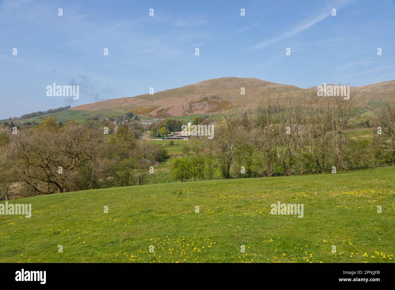 View of the gardens in the Sedbergh village. Sunny spring day. Sedbergh ...