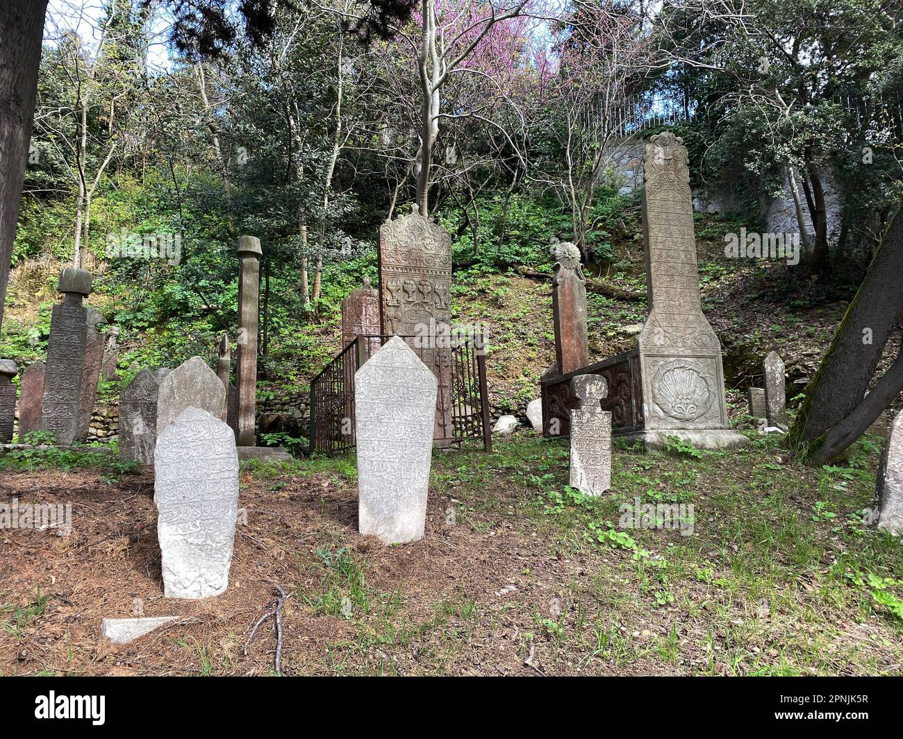 Kandilli Historical Cemetery, located in Istanbul, Turkey, stands out ...