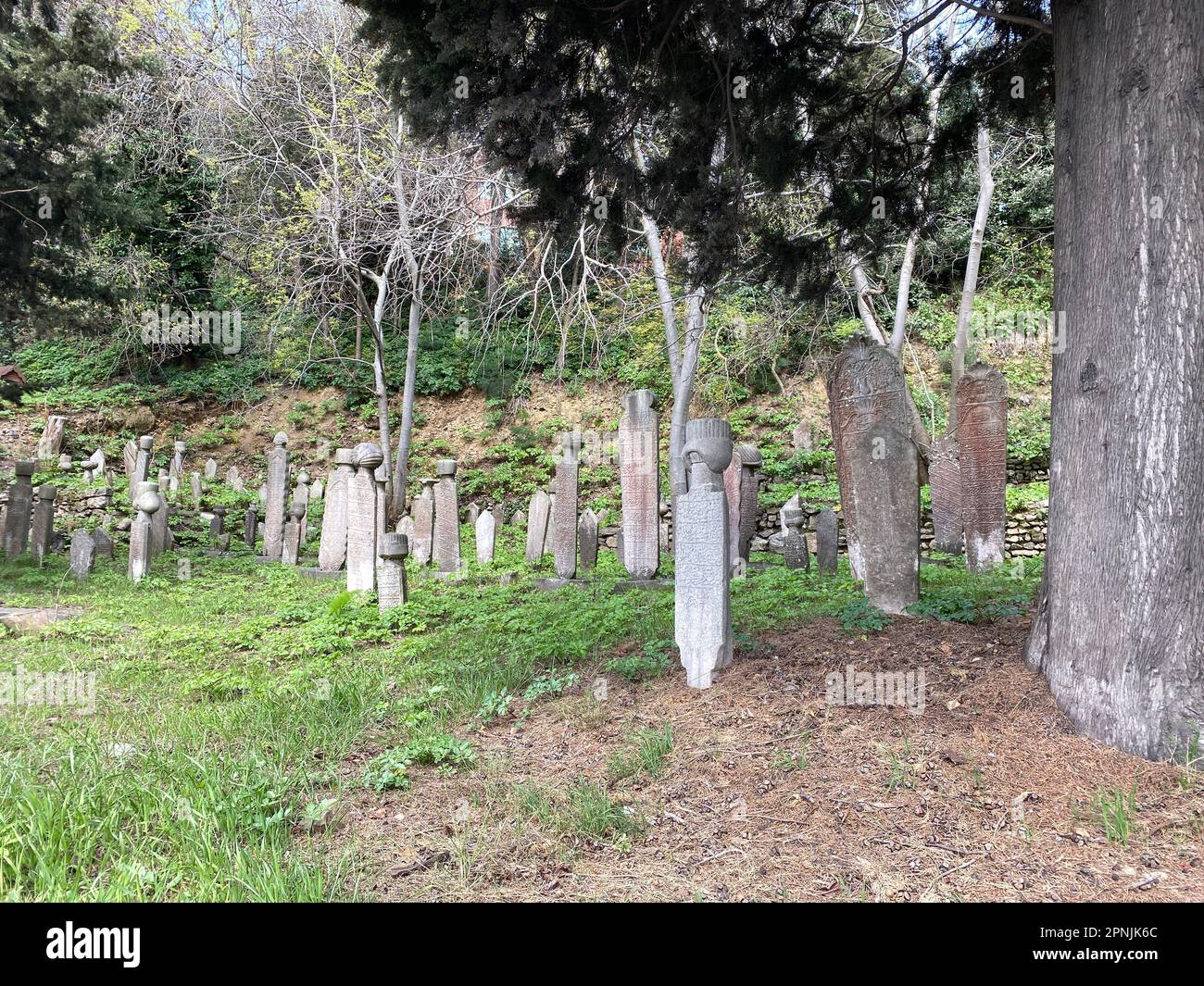 Kandilli Historical Cemetery, located in Istanbul, Turkey, stands out ...