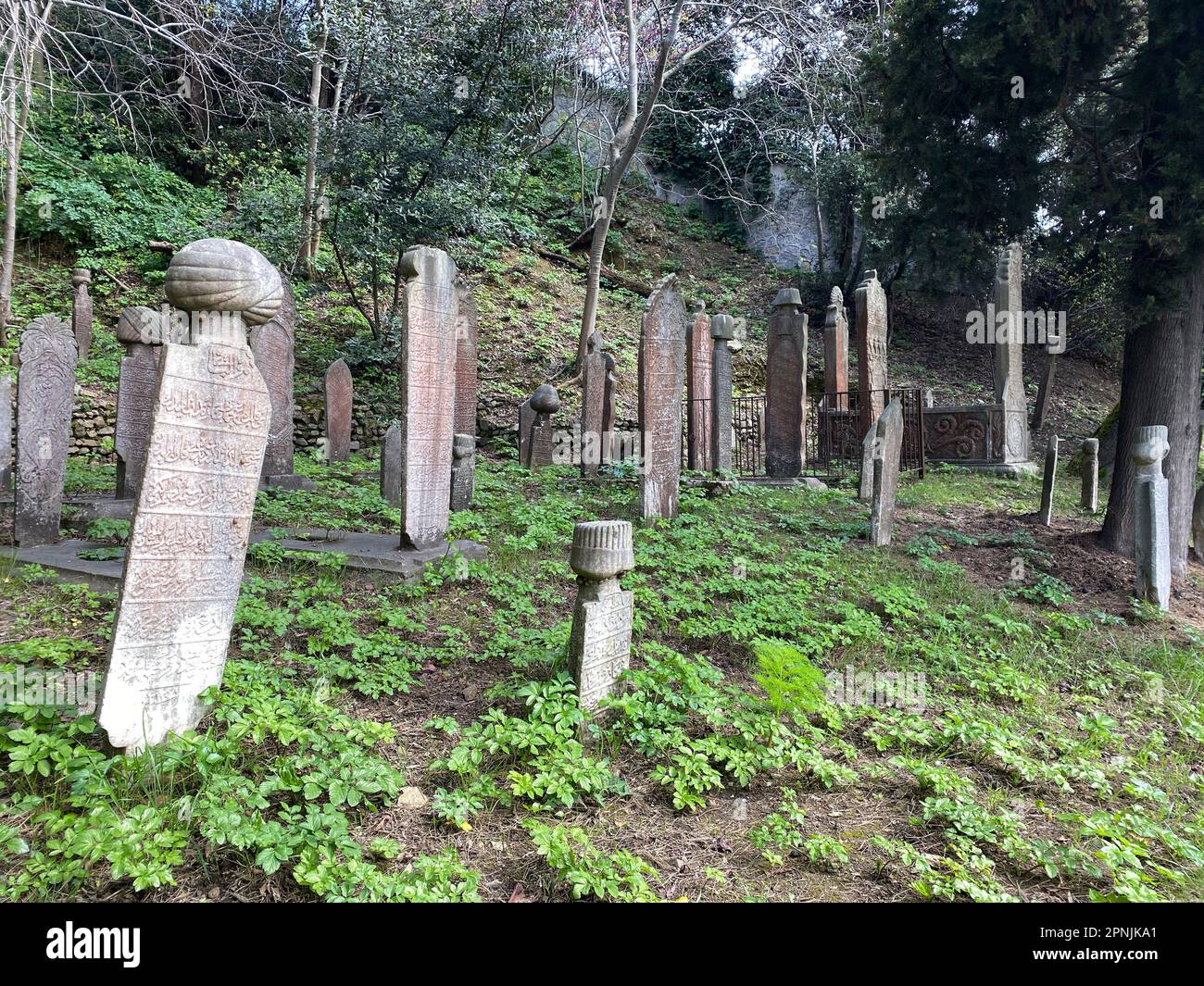 Kandilli Historical Cemetery, located in Istanbul, Turkey, stands out ...