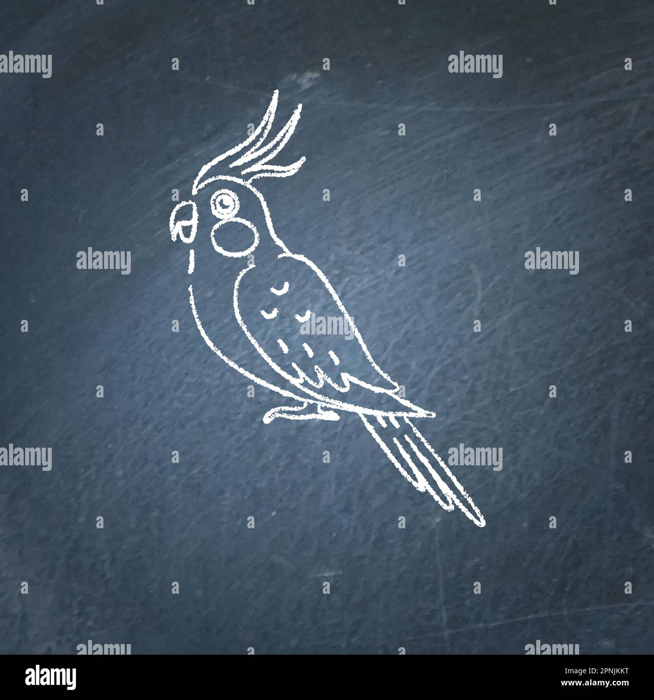 Corella parrot icon sketch on chalkboard. Tropical bird drawing on ...