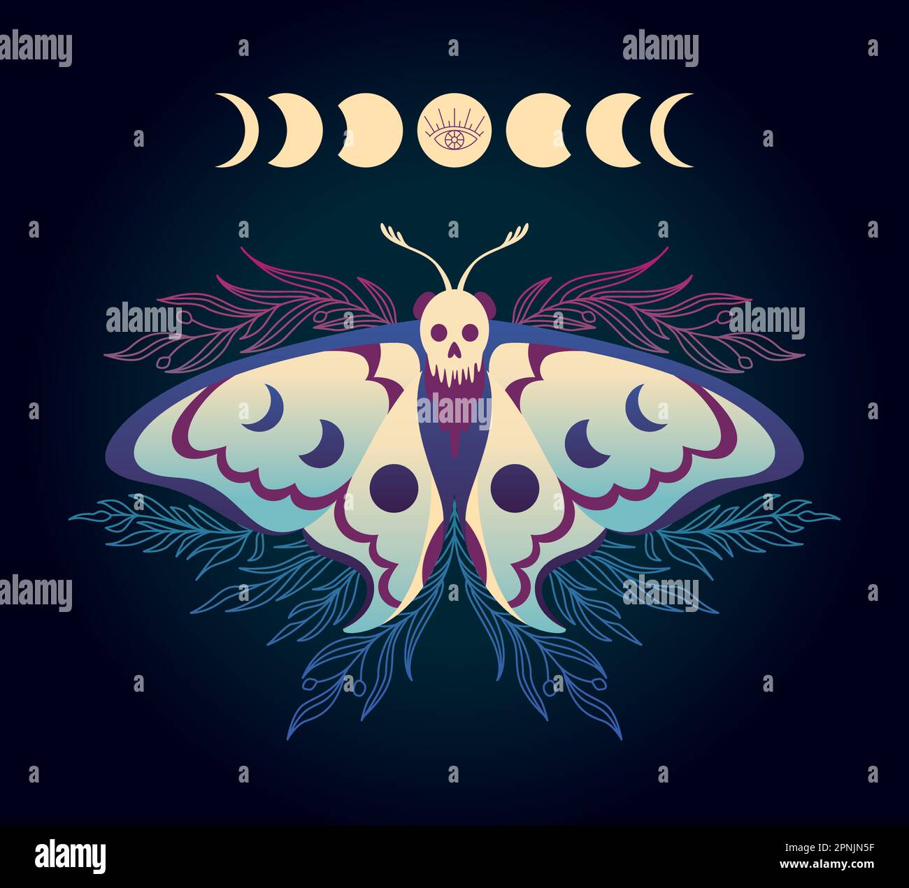 Illustration with hawk moth with phases of the moon Stock Vector Image ...