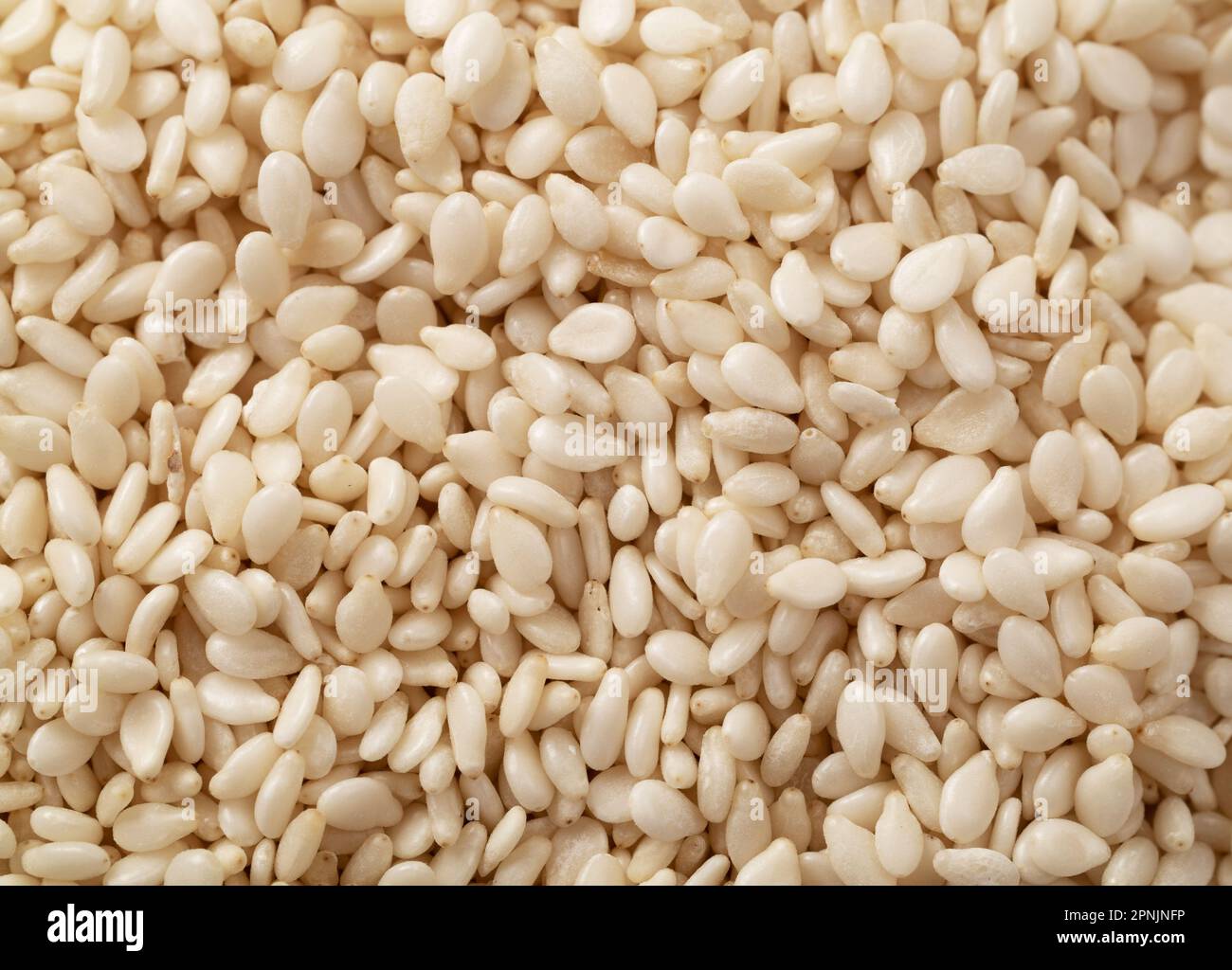 Pile of white sesame seeds as background, top view. Macro. Extreme ...