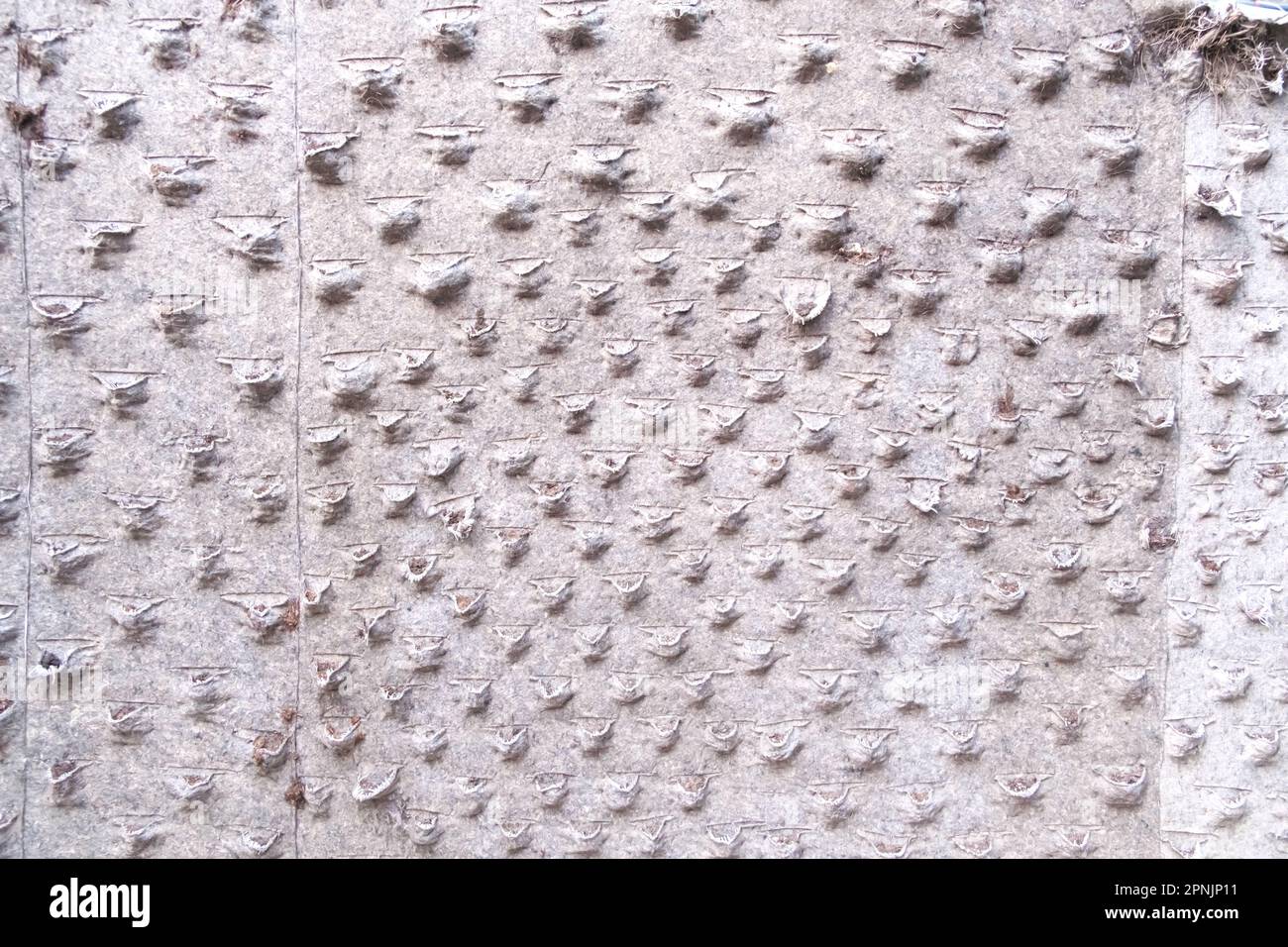 Surface of a dry vertical garden, under renovation, empty flowerpots ...